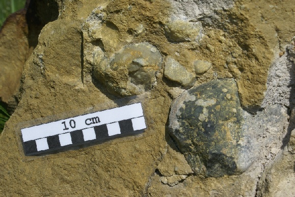 U7 Slepenec - Geofyzikální ústav Akademie věd ČR, v.v.i.