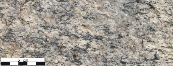 P1 Migmatit - Geofyzikální ústav Akademie věd ČR, v.v.i.