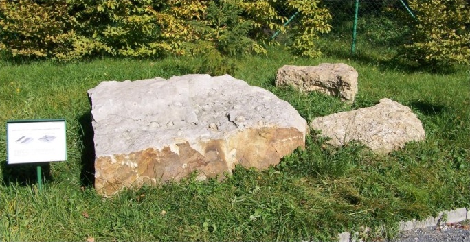 U6 Pískovec a slepenec - Geofyzikální ústav Akademie věd ČR, v.v.i.