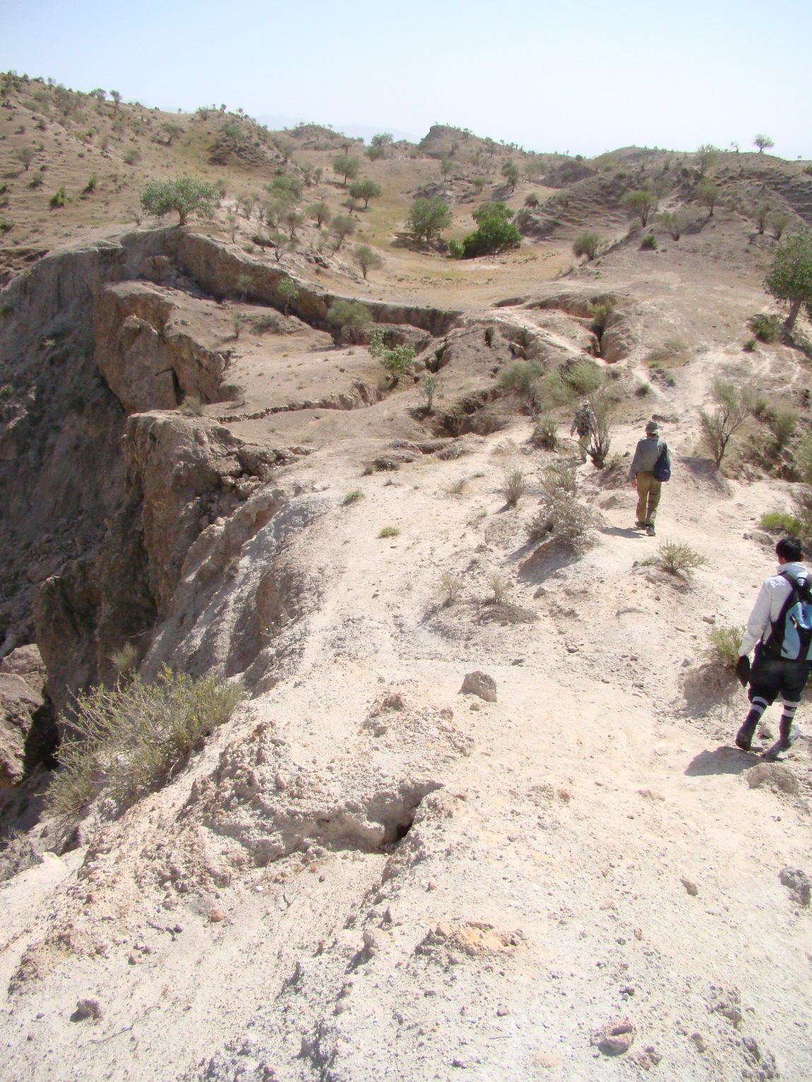 Influence of caprock on the growth dynamics of salt diapirs in Iran ...