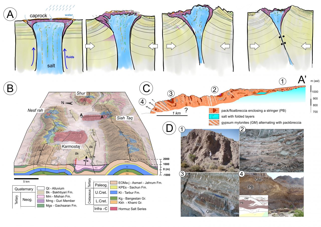 Structure and deformation of caprock on salt diapir extrusions in the ...