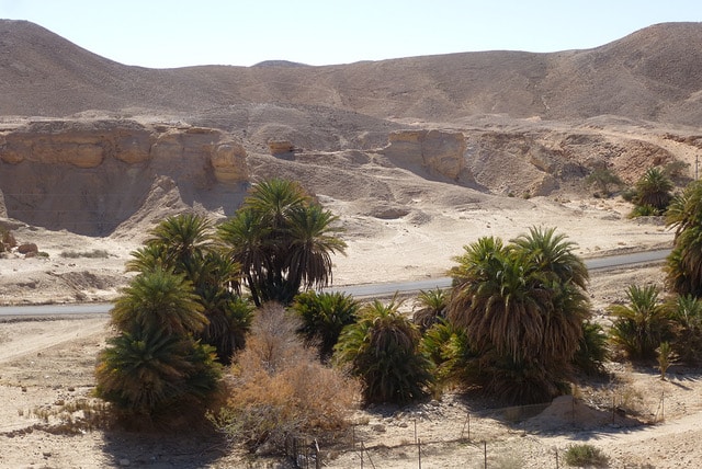 Homo sapiens accessed Eurasia via the Levant corridor - Geofyzikální ...